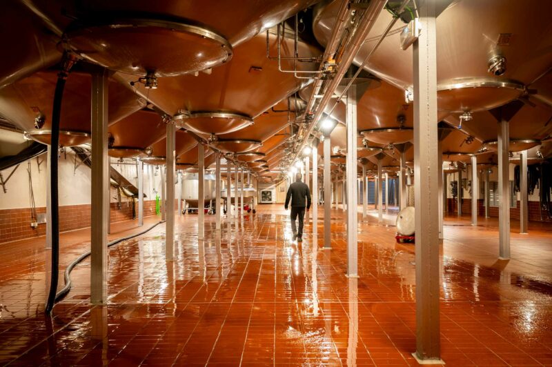 INNOVATION - Bodega Pago de Carraovejas